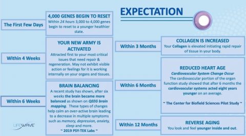 LifeWave x39 basics - how they work & wearing TIPS! - Greekalicious
